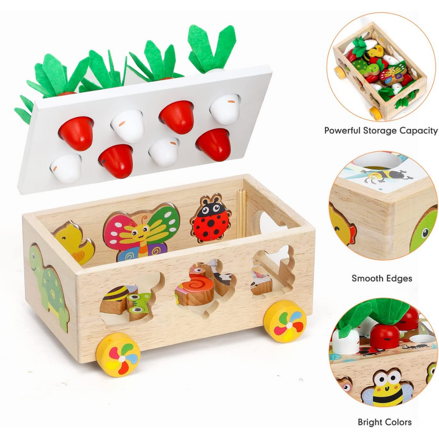 Toy Shop In Lahore | Kids Toys Online Shopping In Pakistan ...