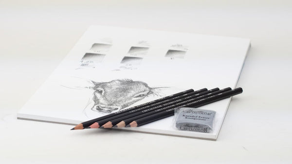 Cretacolor Kneaded Eraser – thestationerycompany.pk